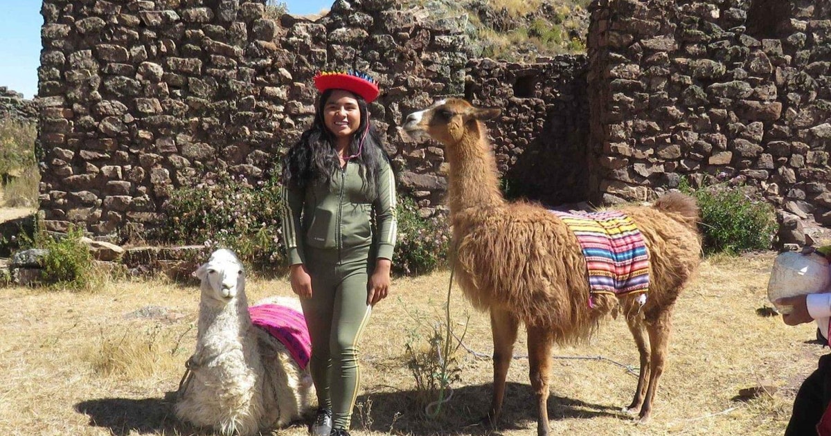 Private tour from Cusco | Llama Excursion + Clay Healing | GetYourGuide Private tour from Cusco | Llama Excursion + Clay Healing | GetYourGuide