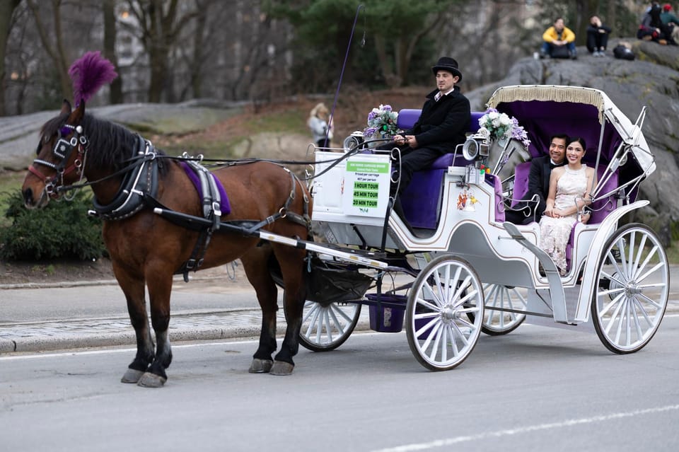 Royal Carriage Ride in Central Park NYC | GetYourGuide