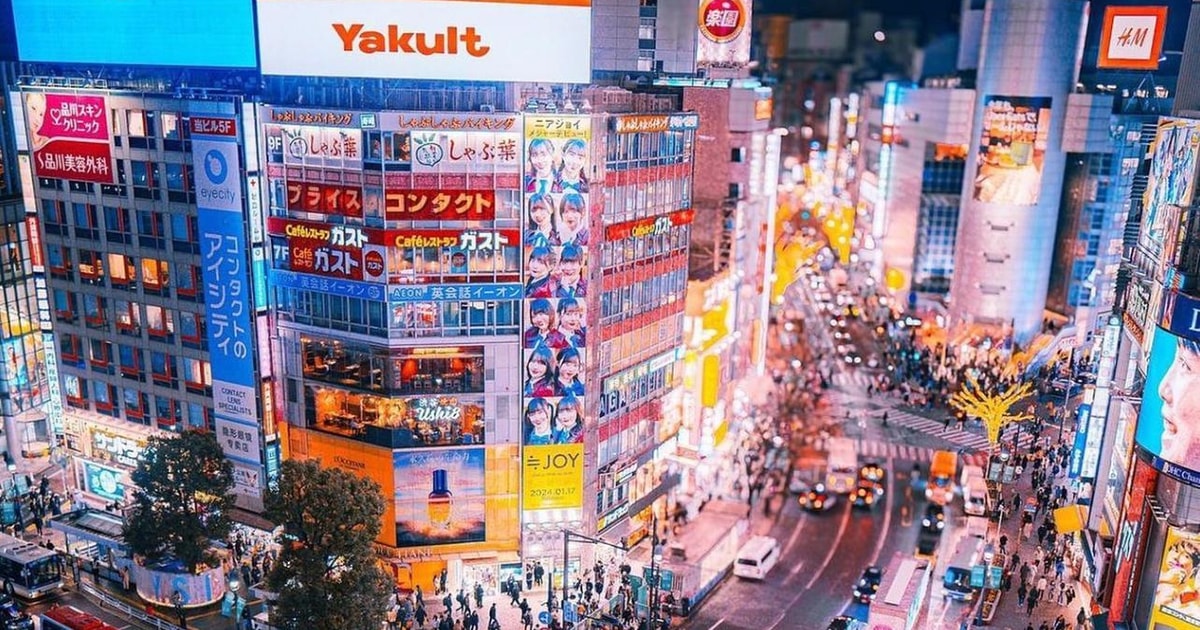 Tokio: Tour privado guiado con servicio de recogida y regreso del hotel ...