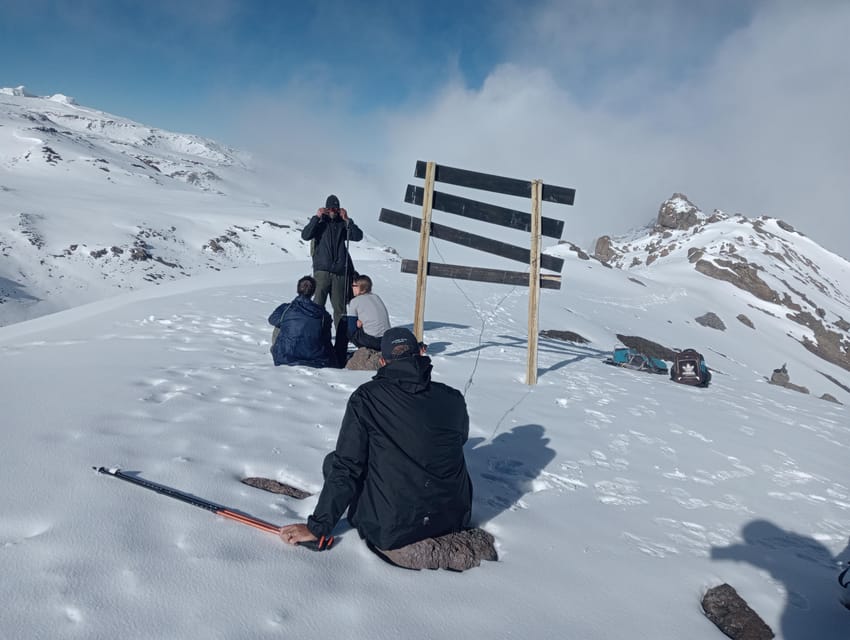 Mt. Kilimanjaro: Machame route - 8 Day itinerary. | GetYourGuide