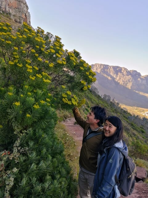 Beautiful Table Mountain Hike: Kasteelspoort Scenic Route | GetYourGuide