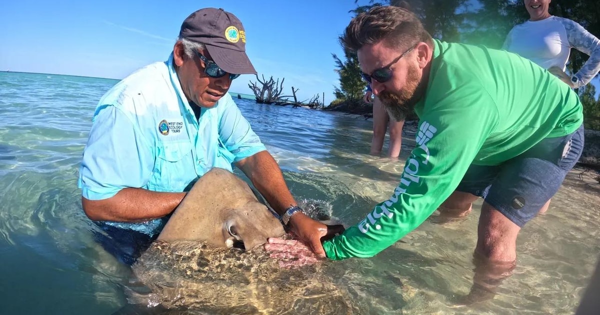 Grand Bahama Island: Das ultimative Öko-Erlebnis | GetYourGuide
