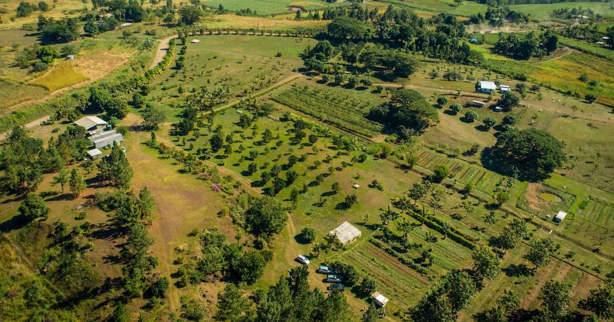 Fiji: Farm Tour: Animals, Honey Tasting & Fijian Cooking | GetYourGuide