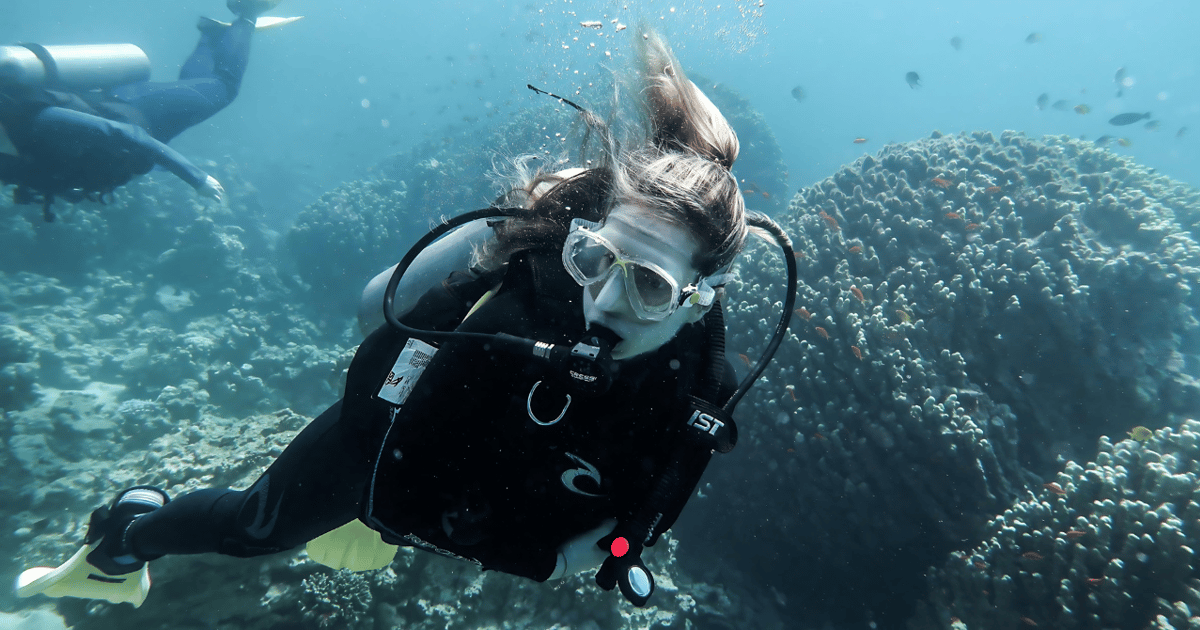Explore Aqaba's Depths: Scuba Diving Tour, with Hotel Pickup | GetYourGuide