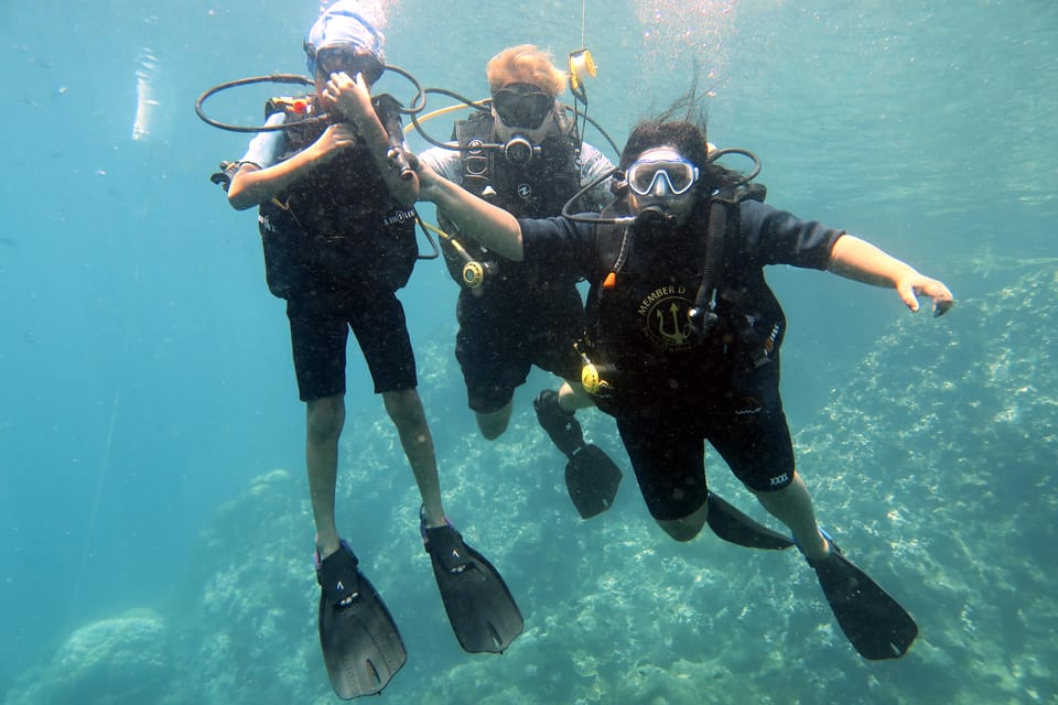 Samui: Intro duiken in Koh Tao | GetYourGuide