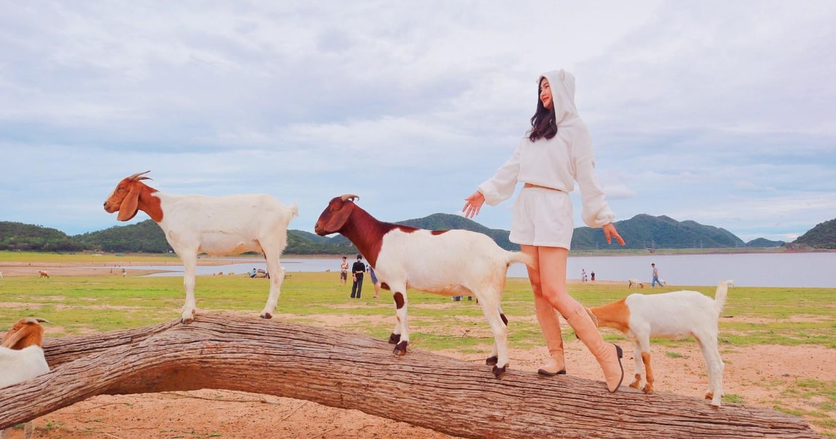 Bangkok: Pranburi Dam, Goat Feeding, and Lunch Day Trip | GetYourGuide