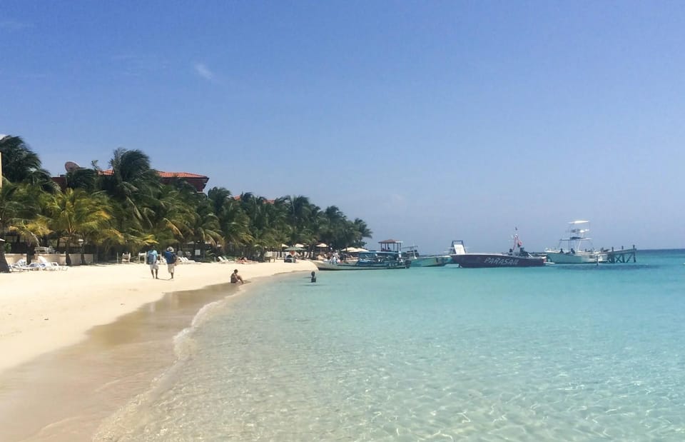 Daniel Johnson Luiaards + Strand & Eiland Tour | GetYourGuide