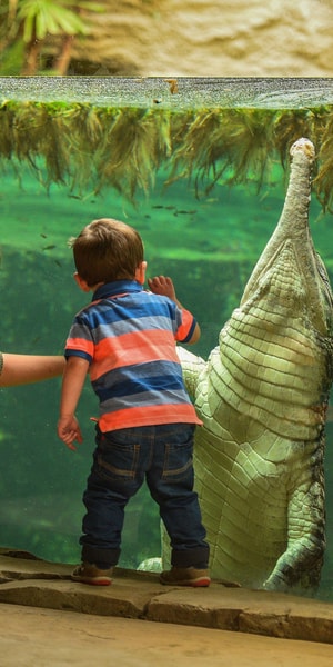 Chester: Chester Zoo Entry Ticket | GetYourGuide