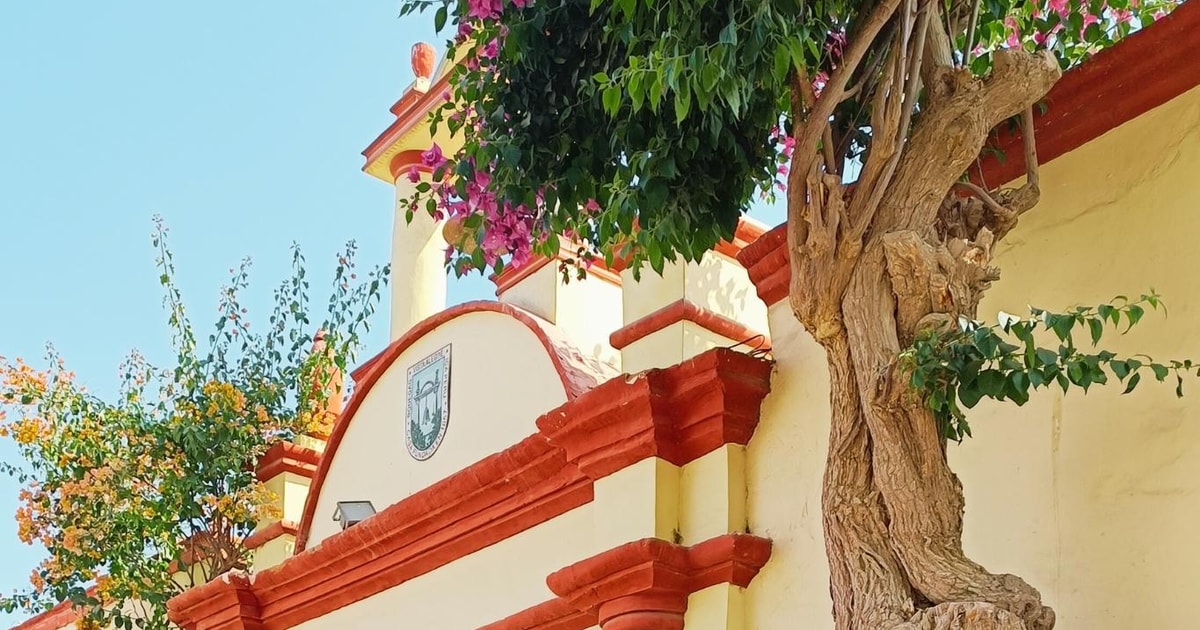 Winery Experience | GetYourGuide