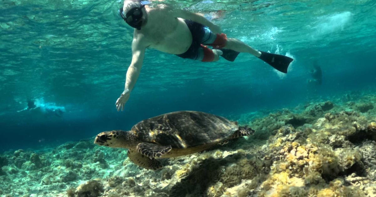 One-day Trip 3 Gili Islands Including Snorkeling | GetYourGuide