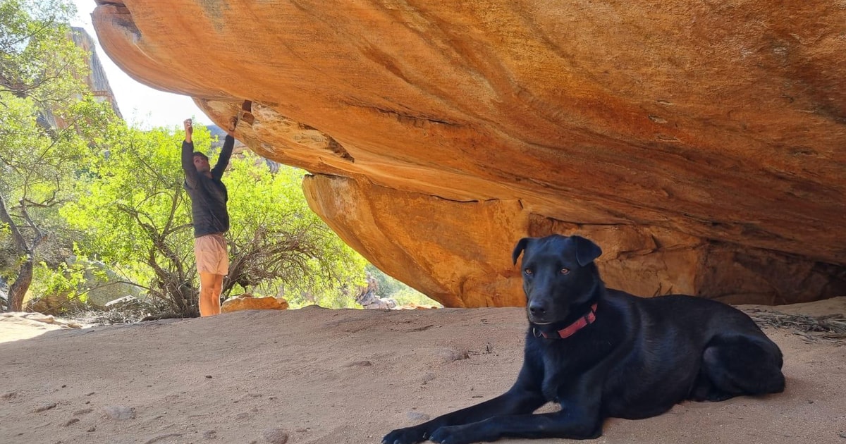 4 Days Rocklands Cederberg bouldering | GetYourGuide