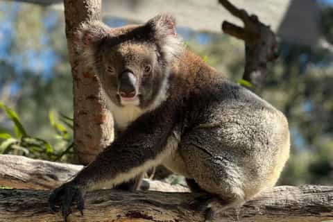 7 Days in Western Australia. The Ideal Itinerary for Your First Visit