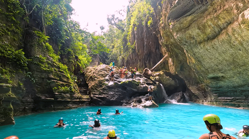 Cebu: Whale Shark Swim and Kawasan Canyoneering Group Tour | GetYourGuide