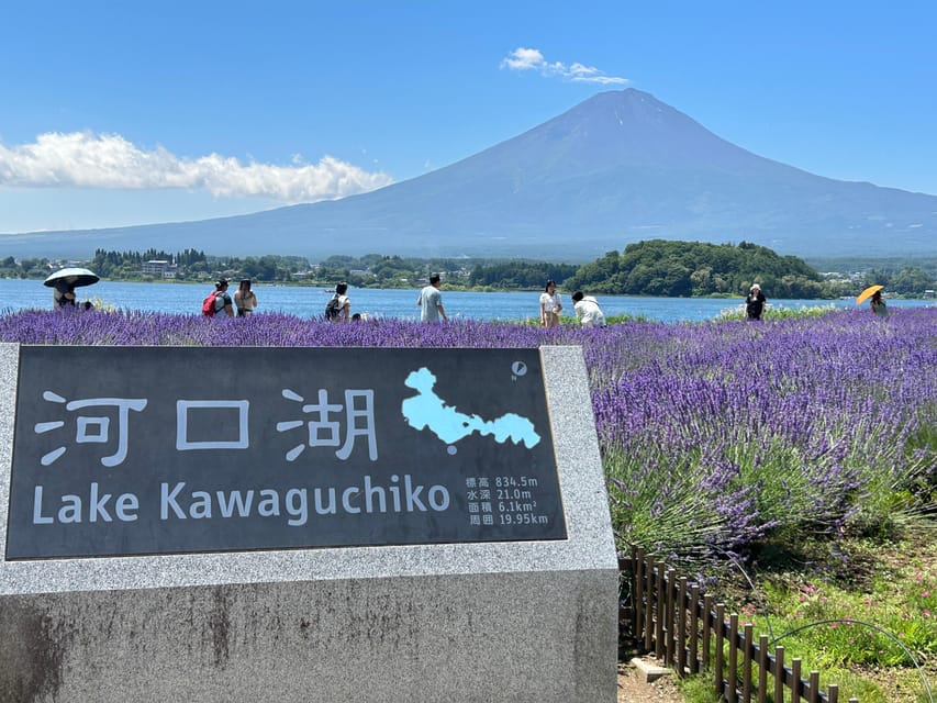 Full Day Mt.Fuji Excursion to-and-from Tokyo City | GetYourGuide