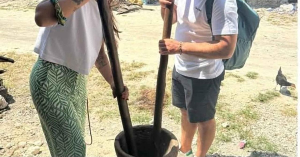 Zanzibar: Las Jozani, wioska Muyuni i plaża Mtende | GetYourGuide