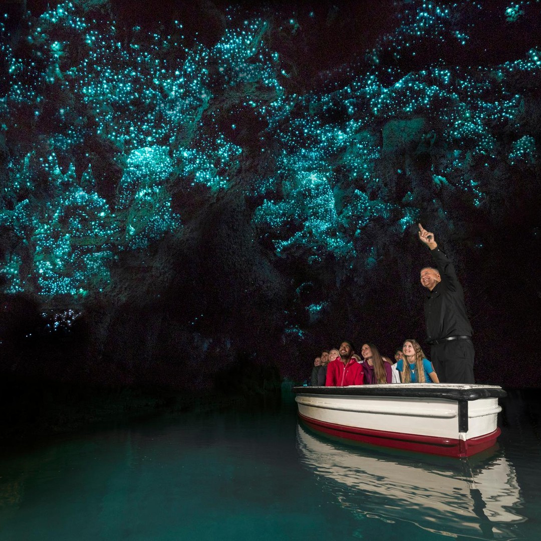 Auckland: Tour privato di Hobbiton e delle grotte dei vermi luminosi di ...