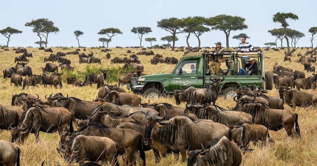 16 Days Kenya,Tanzania Elephant Country and Big Cats Safari | GetYourGuide