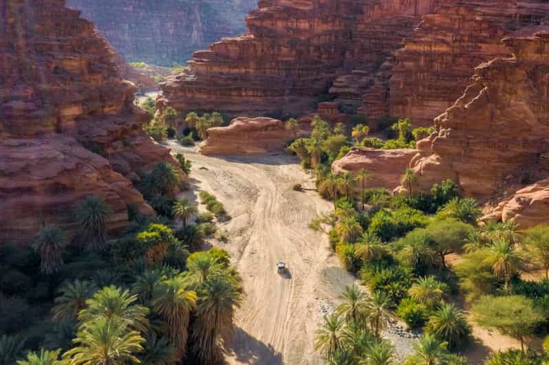 From Tabuk: Wadi Al Disah Tour | GetYourGuide