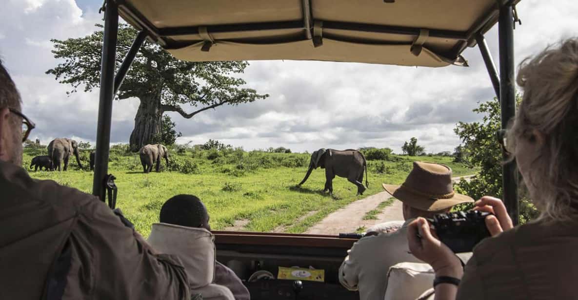 3 Days Ol Pejeta Conservancy Safari | GetYourGuide