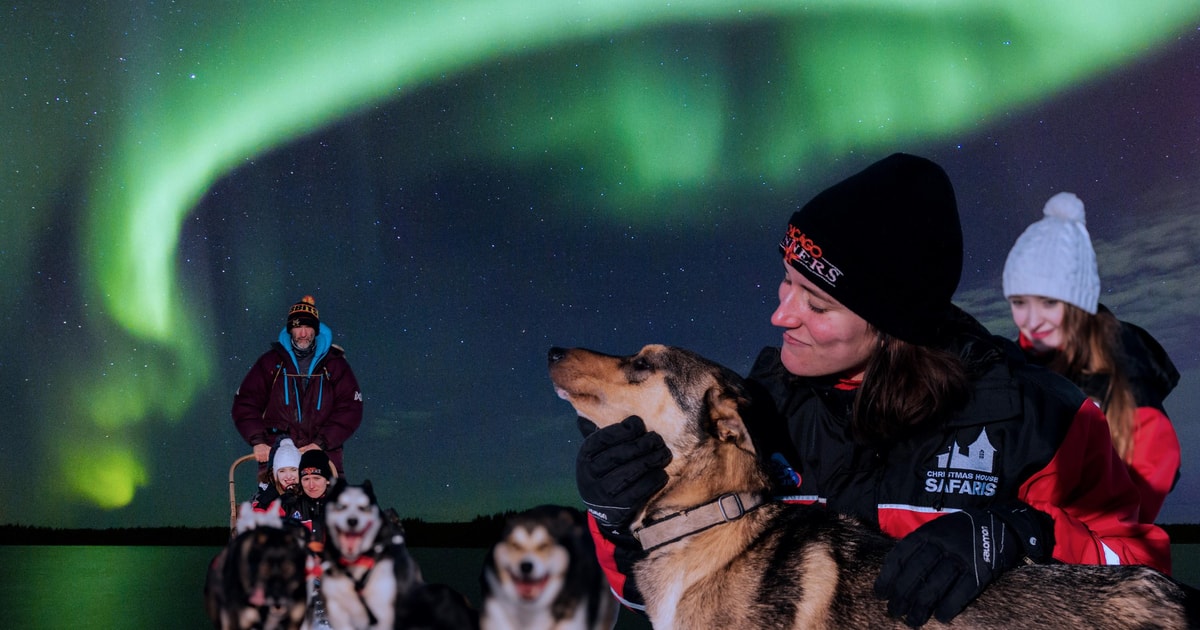 Rovaniemi: Aurora Husky Safari Through the Forest | GetYourGuide