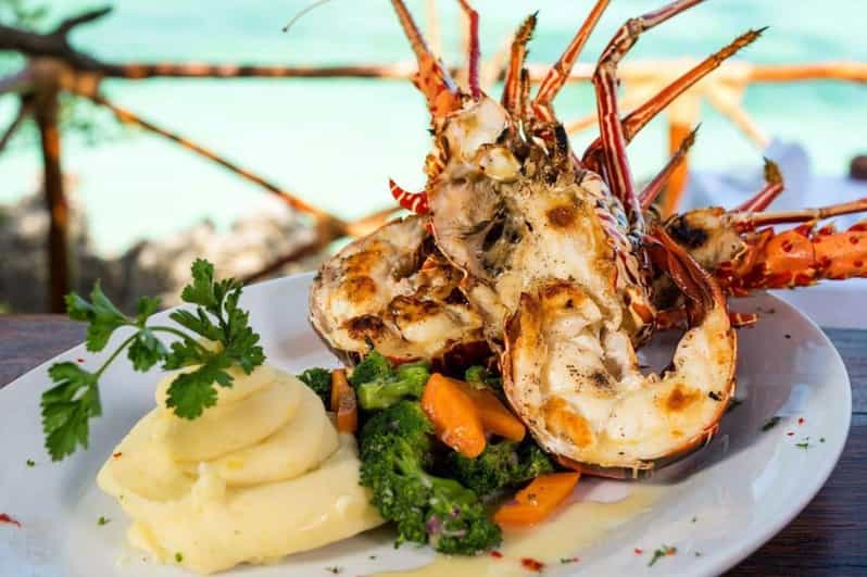 Dolphin Tour, Ngonga Cave, Jozani Forest, The Island Pongwe | GetYourGuide