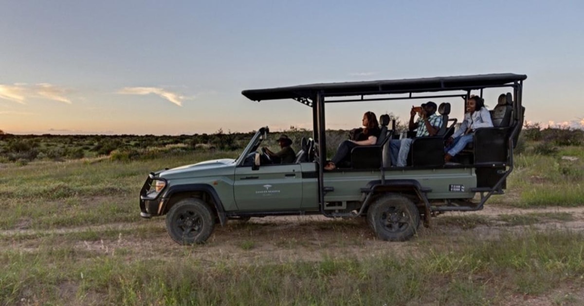 Windhoek: Rhino Tracking Tour with Hotel Pickup | GetYourGuide