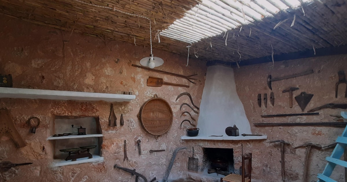 Serra de Tramuntana, Fornalutx: The olive tree: culture, cultivation ...