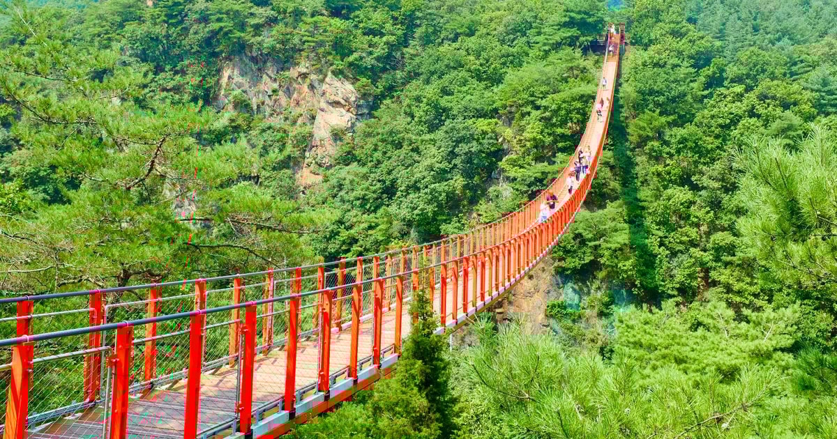 Seoul: DMZ The 3rd Tunnel and Suspension Bridge Tour | GetYourGuide