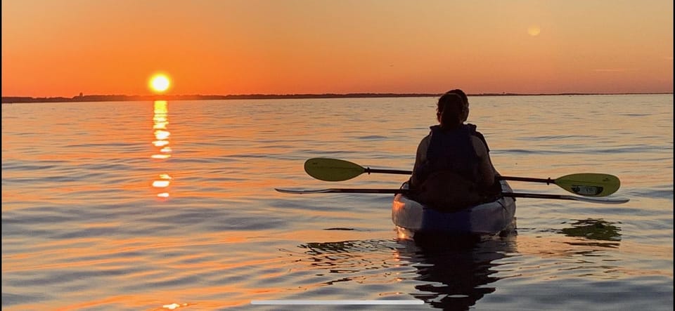 Anna Maria Island and Bradenton: Sunset Kayak Dolphin Tour | GetYourGuide