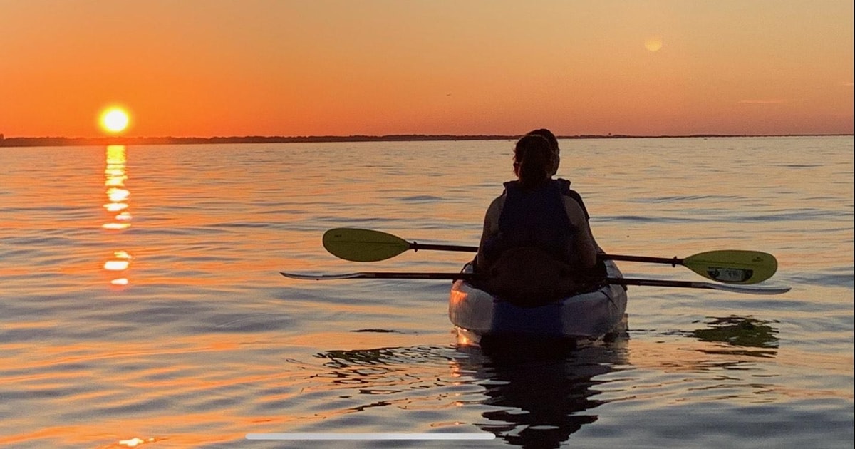 Sunset Kayak Dolphin Tour of Anna Maria Island and Bradenton | GetYourGuide