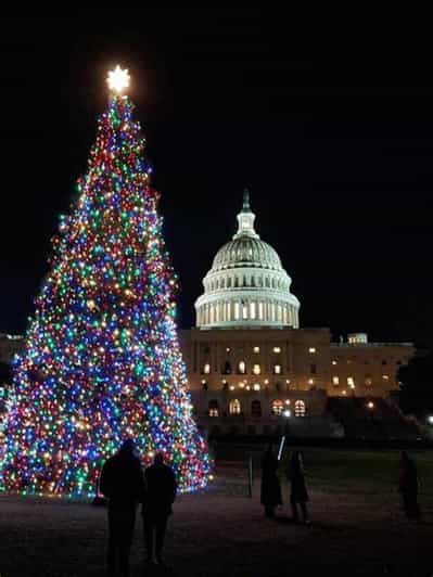 Washington, DC: National Mall and Memorials Moonlight Tour | GetYourGuide