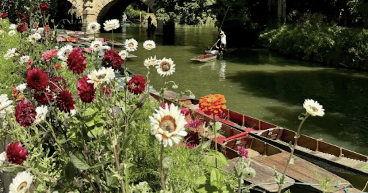 Cherwell River Punt Boat Tour | GetYourGuide