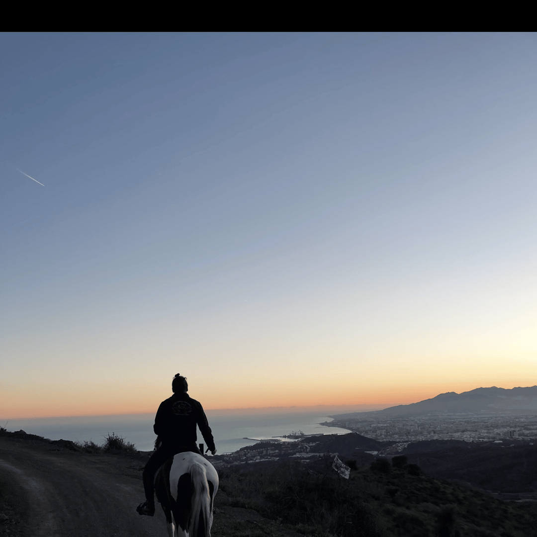 Horseback riding in the Montes Málaga Natural Park - 1 hour | GetYourGuide