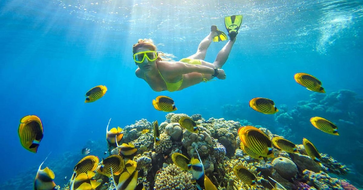 Bali: Snorkelen in de Blue Lagoon met Rijstterras & Waterval | GetYourGuide