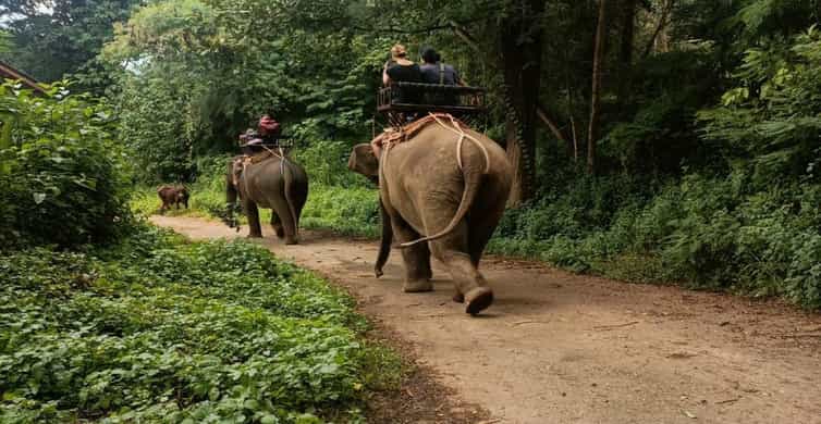 (Copy of) Chiang Mai: Sightseeing Nature Of Mae Tang | GetYourGuide