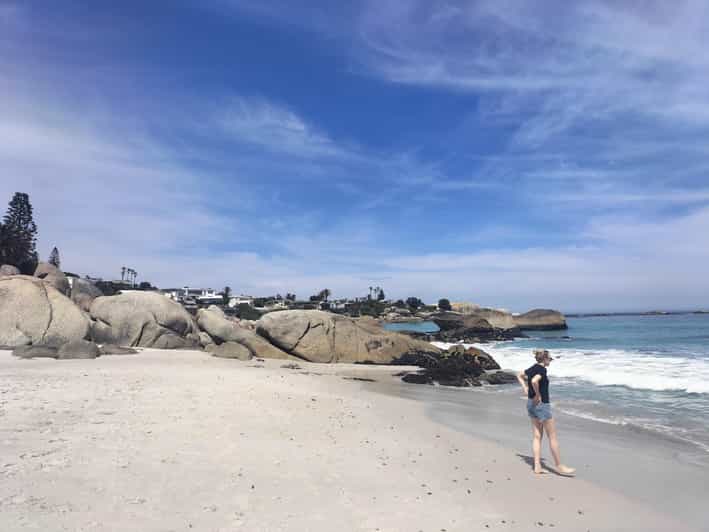 Private Tour:Cape Peninsula &Penguin Beach, Cape Point &more | GetYourGuide