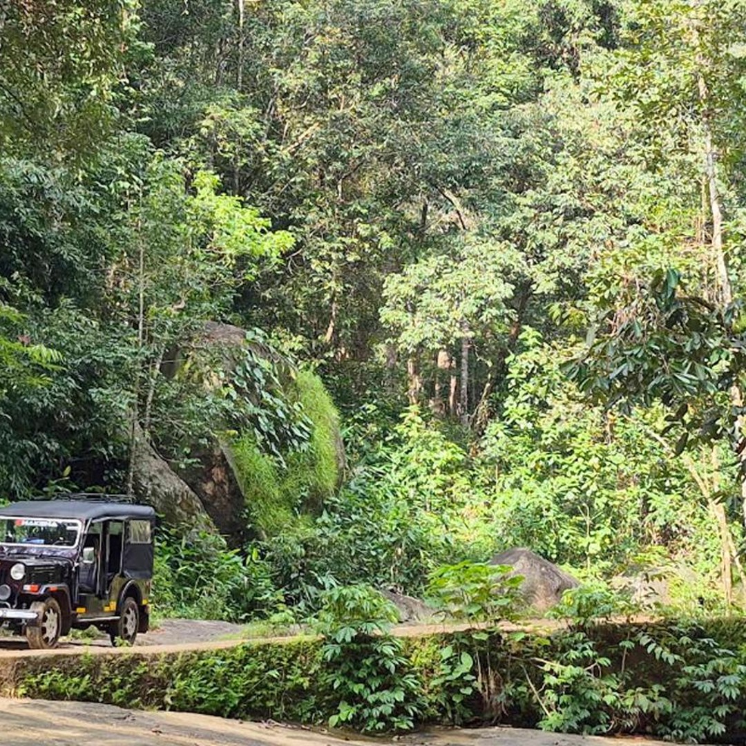 Coimbatore: gita di 1 giorno sulle colline del Kerala con safari in ...