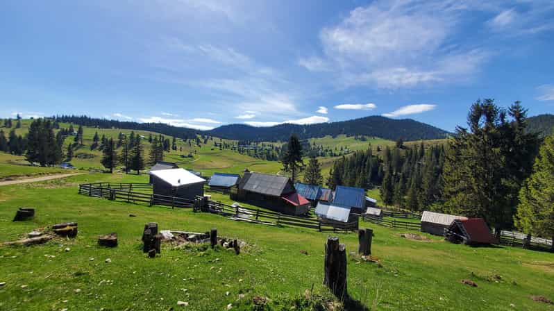 Padis: A hike or bike ride to the heart of Apuseni | GetYourGuide