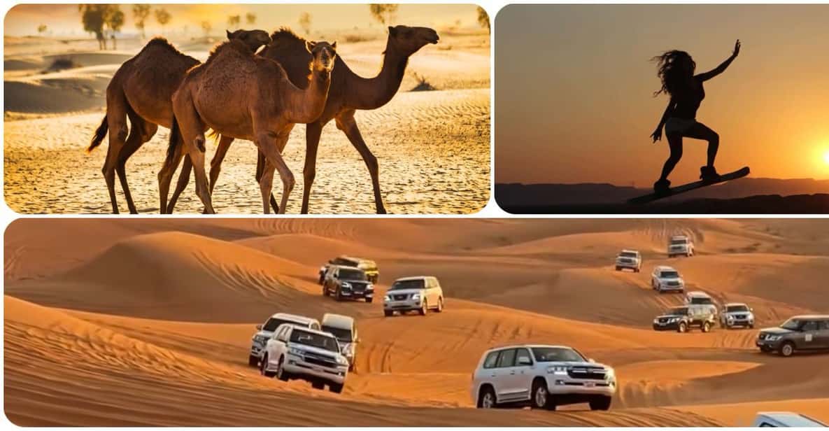 Doha: Full Day Desert Safari With BBQ Dinner | GetYourGuide