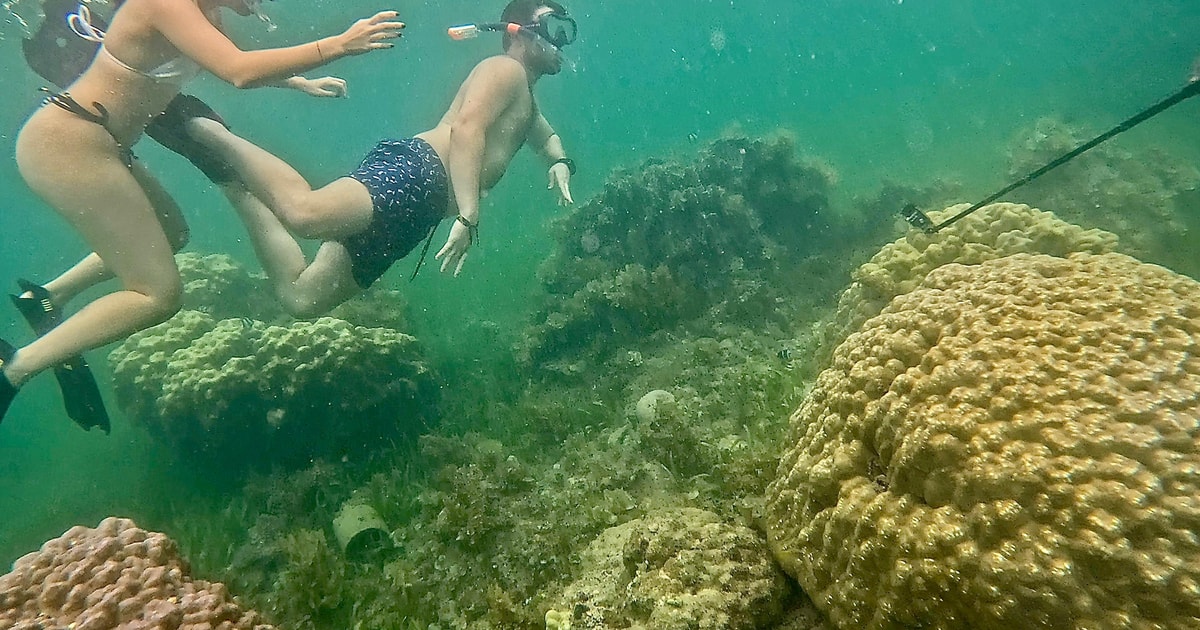 DAR ES SALAAM: MBUDYA ISLAND SNORKELING TOUR & BEACH VIBES | GetYourGuide