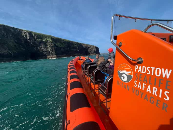 Padstow: Guided RIB Sealife Safari | GetYourGuide
