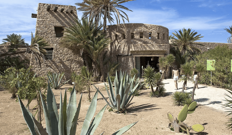 Djerba: Explore & Crocodile Park with convinient Pick-up | GetYourGuide