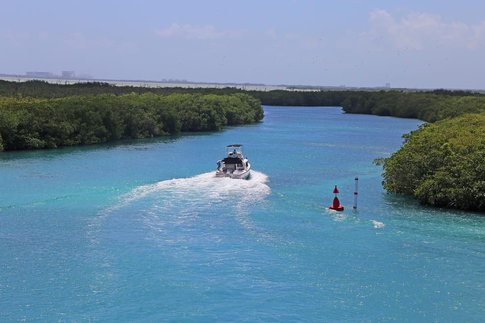 Cancun: Hop-on Hop-off Bus Tour with Flowrider Experience | GetYourGuide