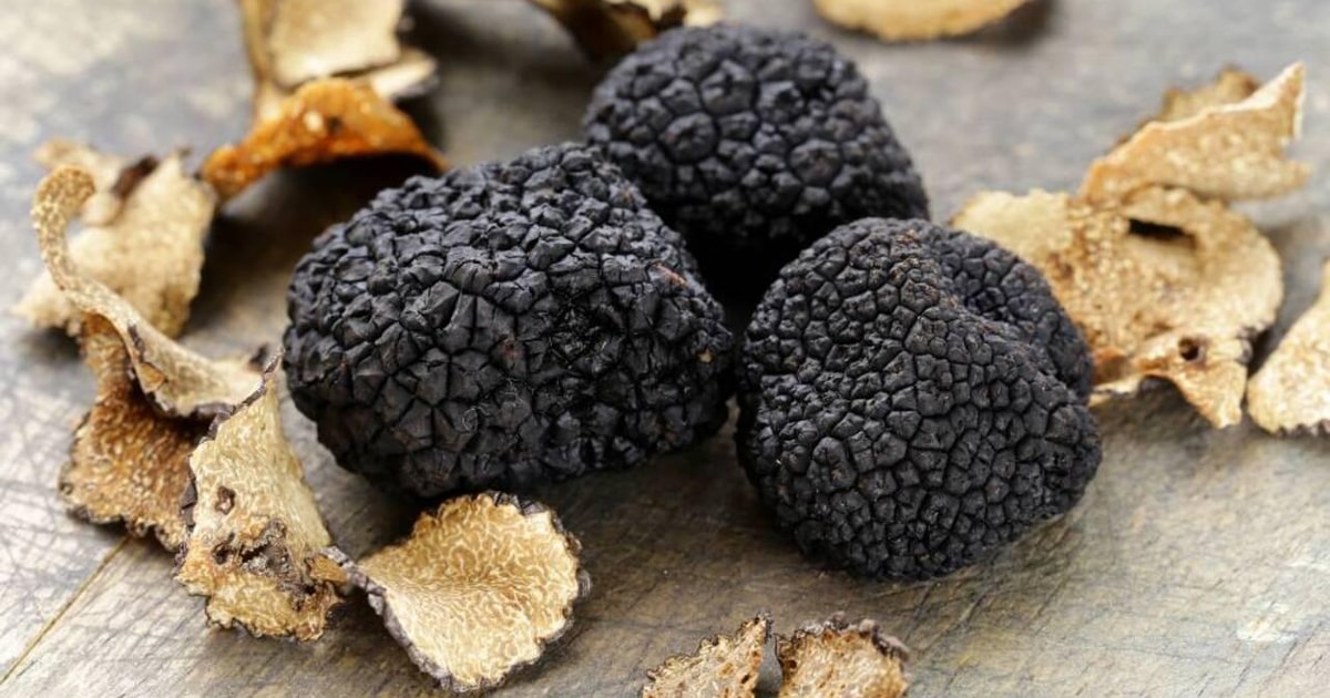 Excursión de un día a Asís con Búsqueda de Trufas y Almuerzo Bio desde ...