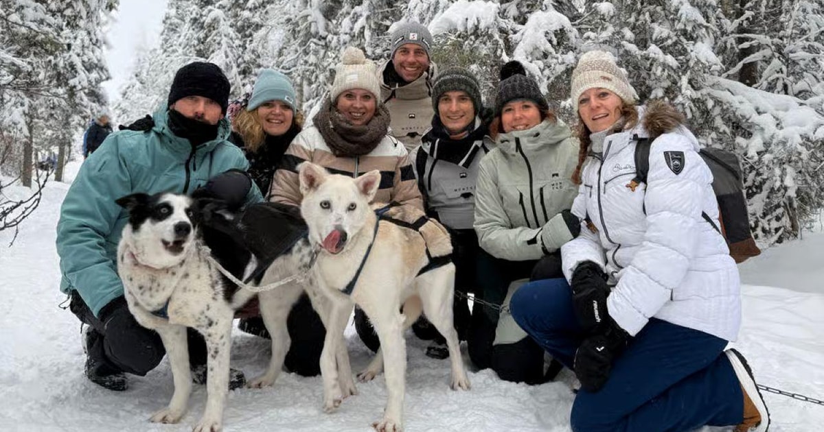 Levi: Winter Husky Journey & Puppy Playtime | GetYourGuide