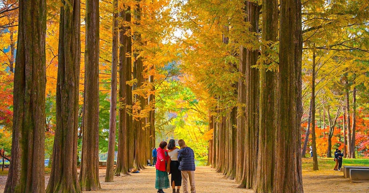 Seoul: Private Nami-Insel, Morning Calm Garden, Petite France ...