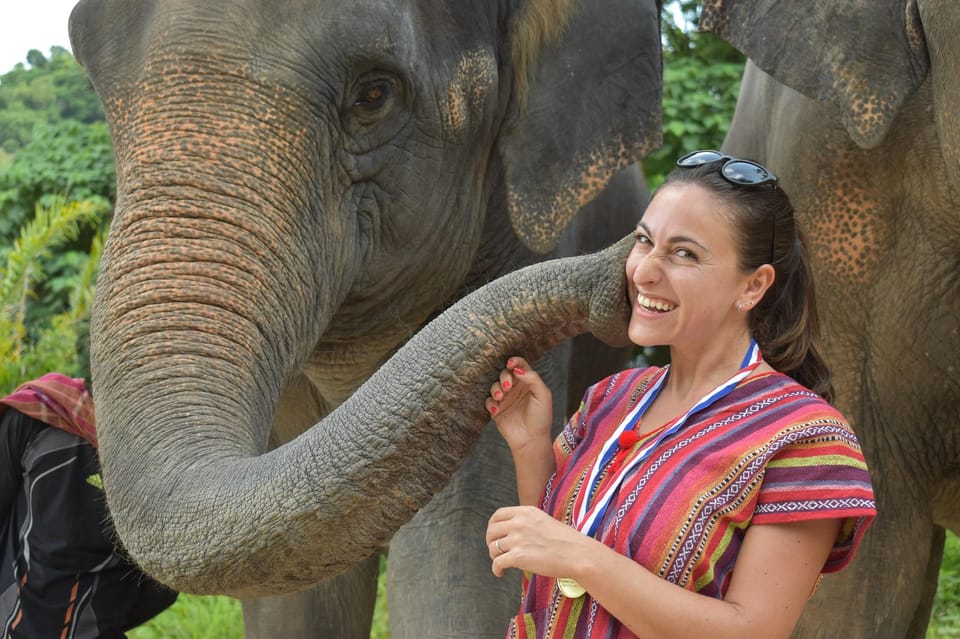 Phuket: Half Day or 2-Hour Ethical Elephant Care Sanctuary | GetYourGuide