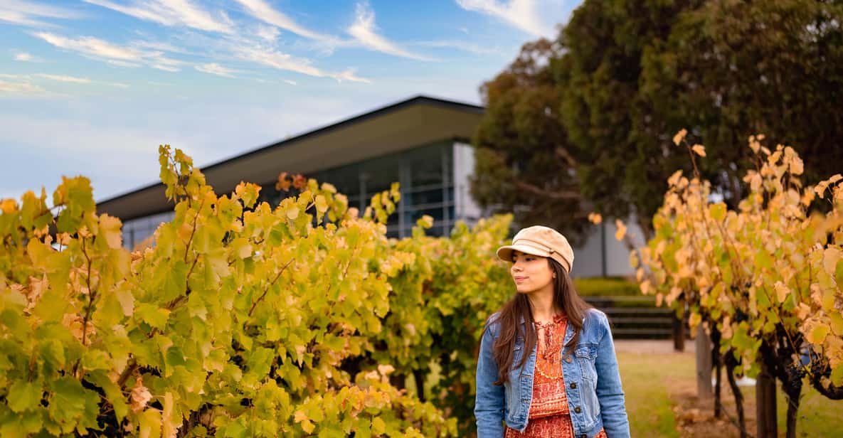 Adelaide: Barossa and Adelaide Hills Tour with Lunch | GetYourGuide