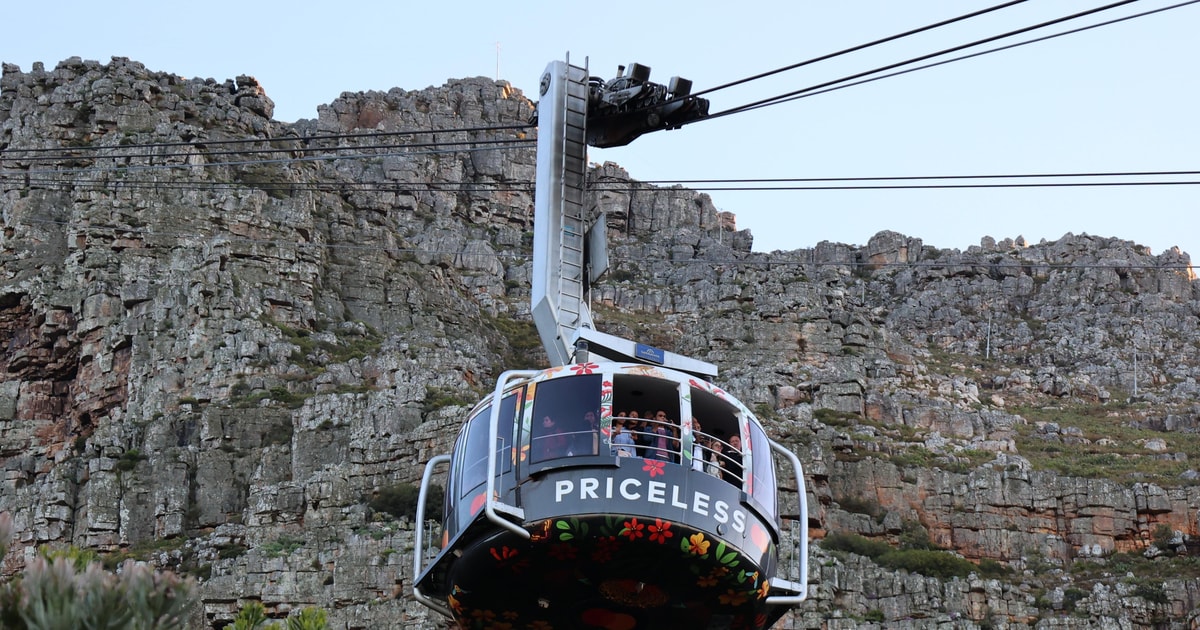 Cape Town: excursie privată de o zi în Peninsula Capului și Muntele ...