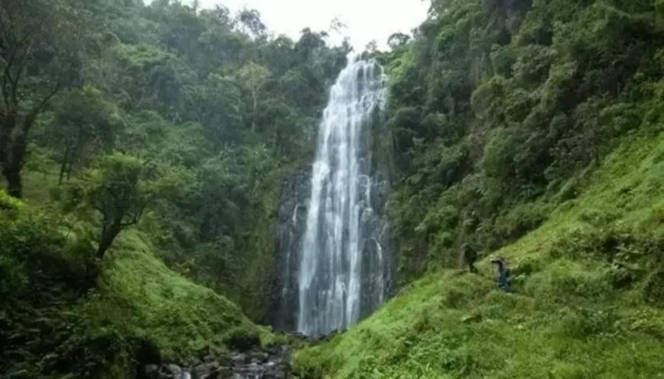 Day trip Materuni waterfalls | GetYourGuide